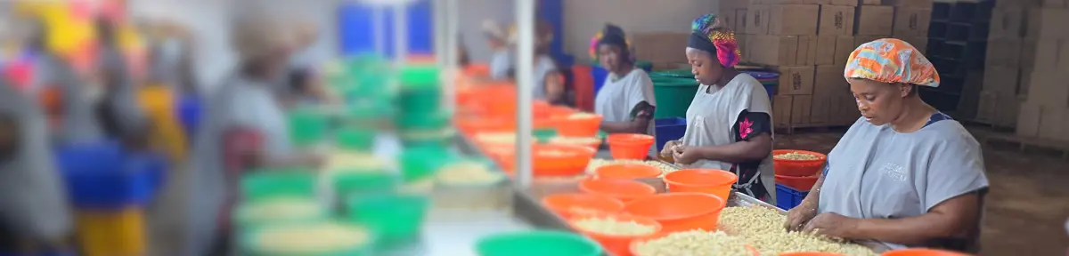 ExoLink - Processing with confidence with FactoryLink