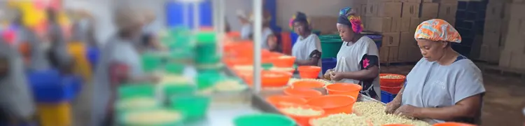 ExoLink - Processing with confidence with FactoryLink