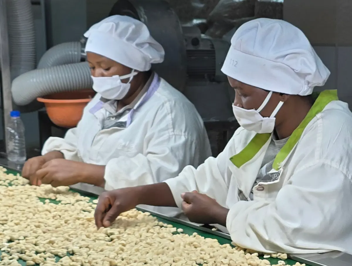 ExoLink - Processing with confidence with FactoryLink